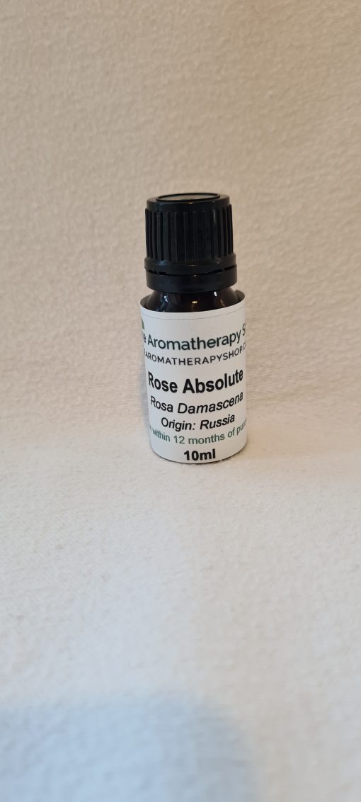 Rose Absolute Essential Oil 10ml – Pure Aromatherapy Shop